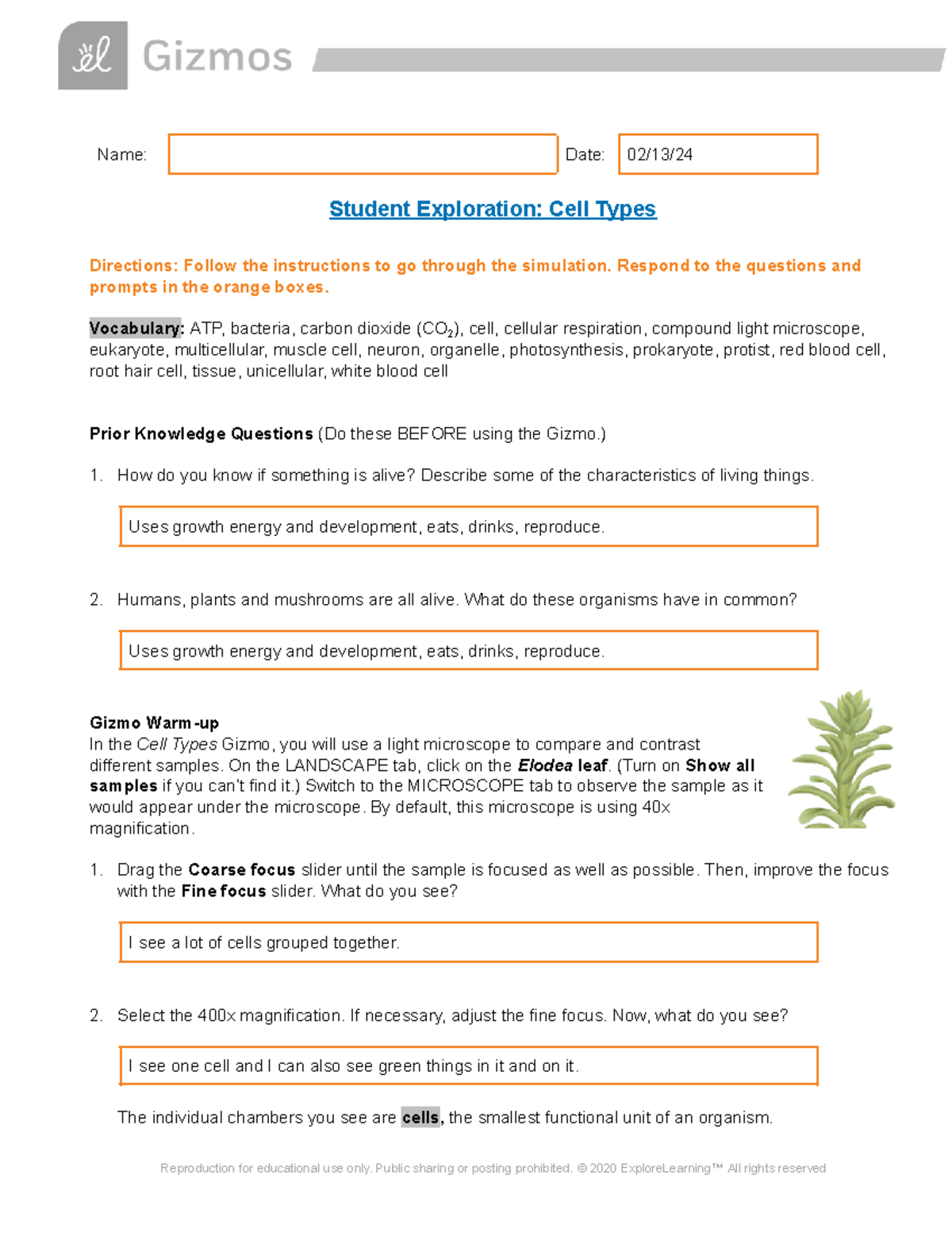 Copy of Cell Types SE - ffj - Name: Date: 02/13/ Student Exploration ...