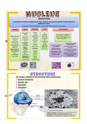 Histology part (13) - histology - Studocu