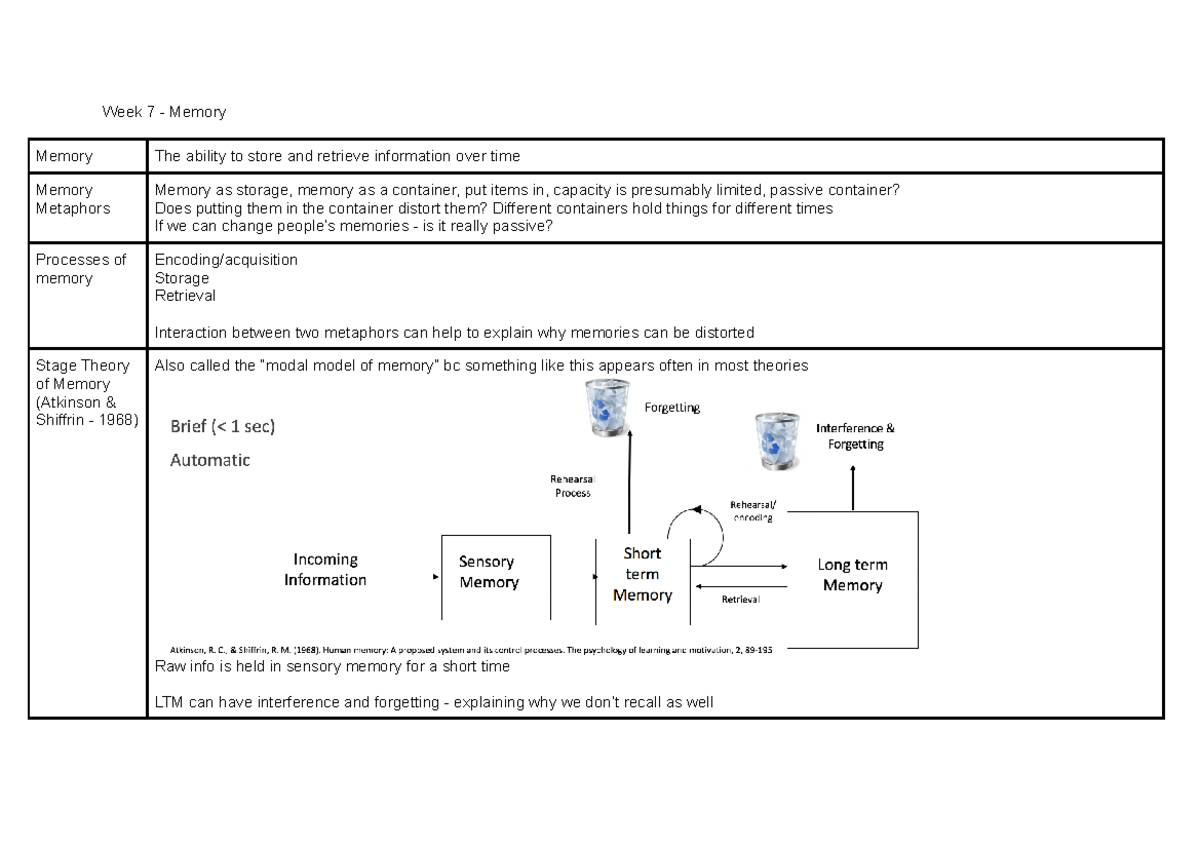 Week 7 - Memory - Week 7 - Memory Memory The ability to store and ...