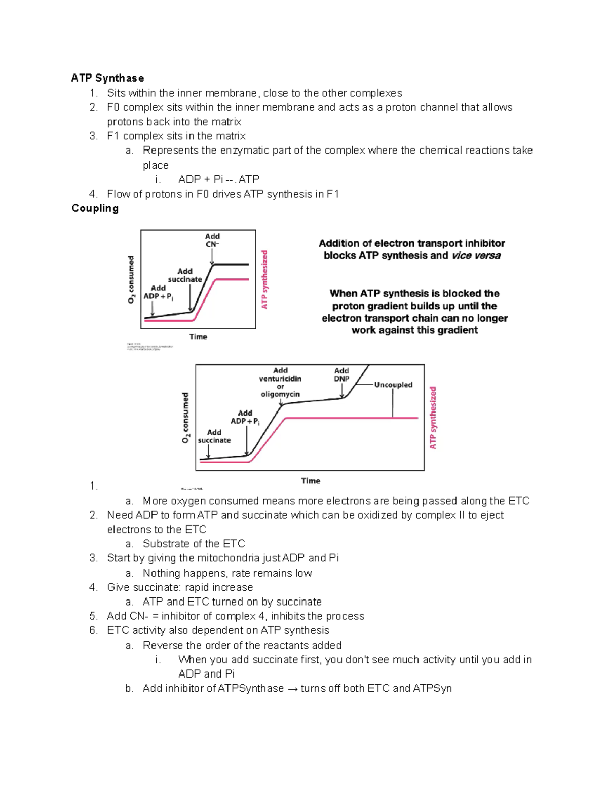L29A - Lecture notes 29A - BIO 361 - SBU - Studocu