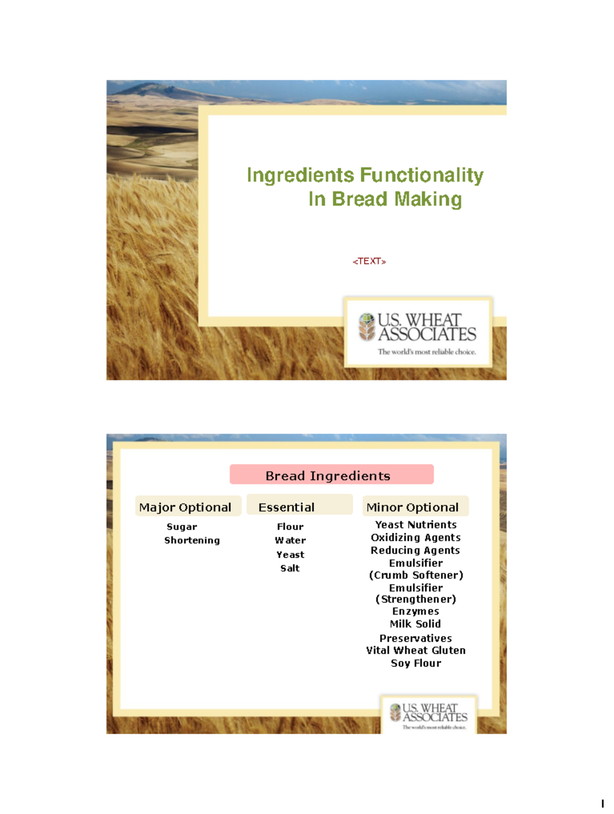 P.2 Bread #1 Functions of Ingredients (2's) - Ingredients Functionality ...