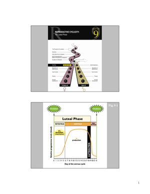 A Comparison of Cellulose Digestion, Absorption, and Metabolism in ...