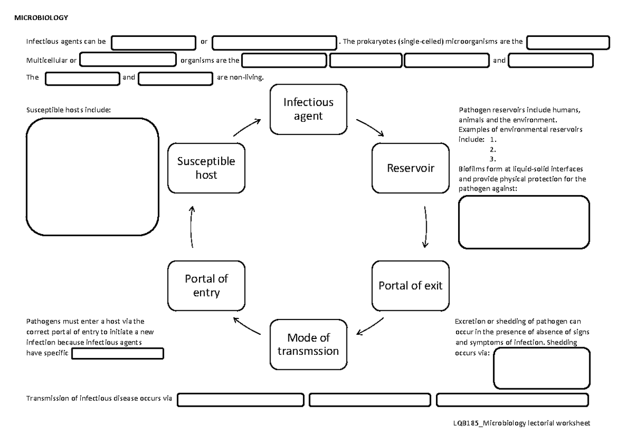 Microbiology Worksheet - LQB185_Microbiology lectorial worksheet ...