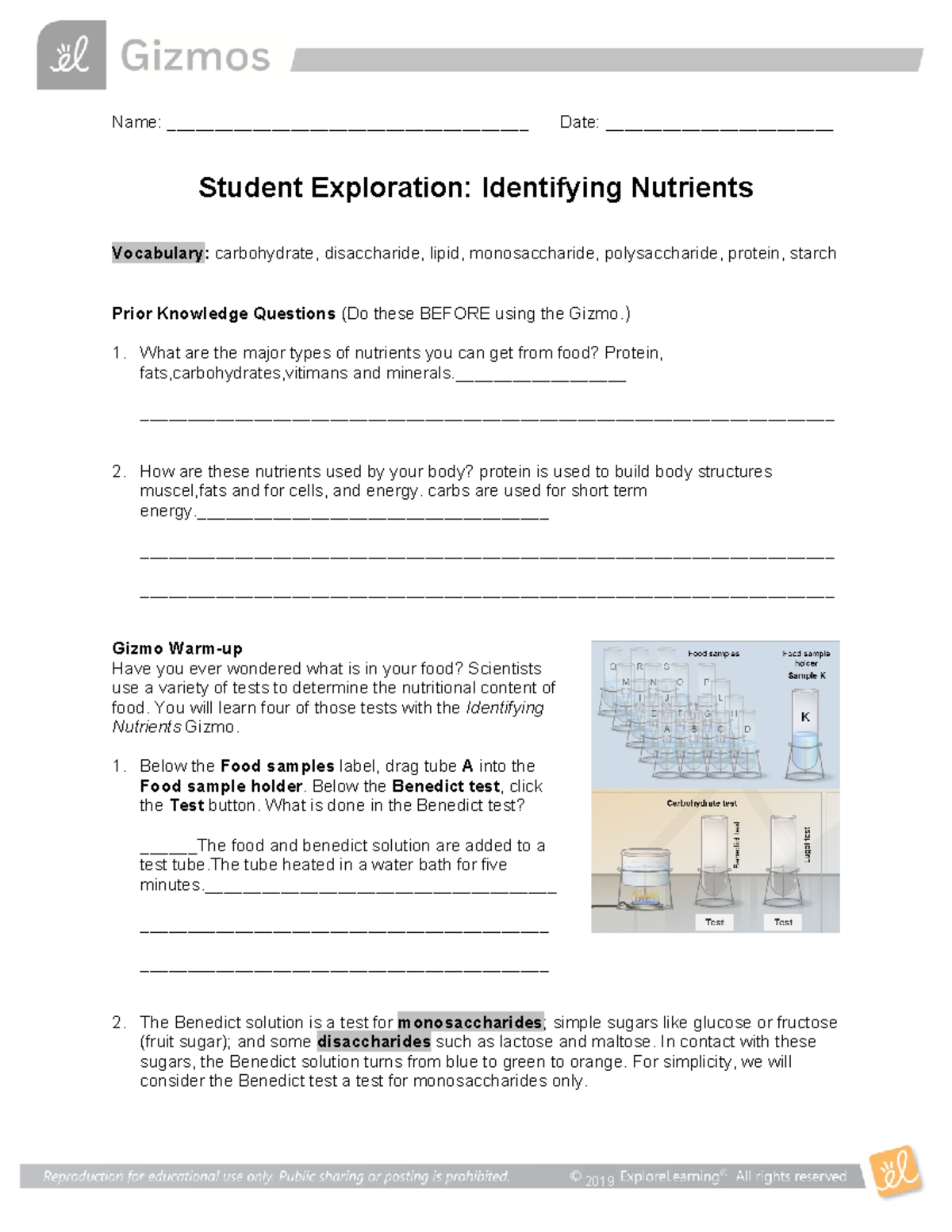 Identifying Nutrients SE (1) - Name ...