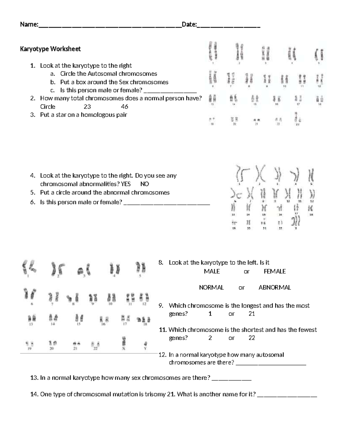 Genetics Lab Worksheet - Name:________________________Date: Karyotype ...
