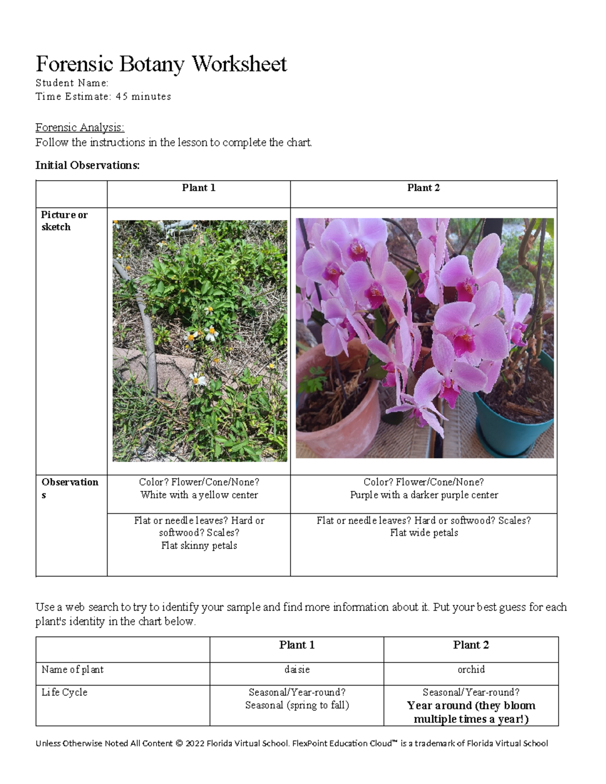02 05 forensic botany worksheet - Forensic Botany Worksheet Student ...