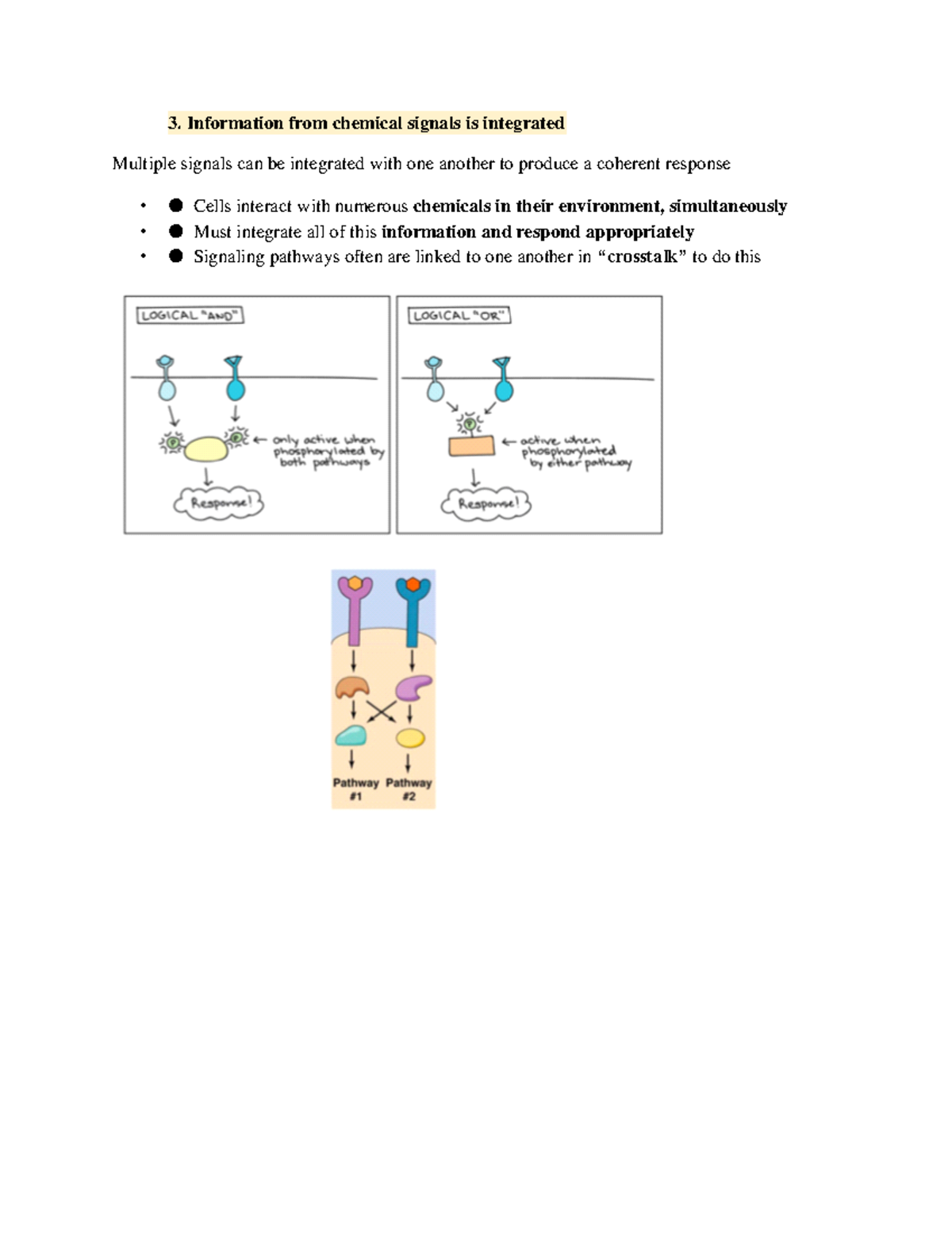 PART 6 of Lec 12 April 2 - Information from chemical signals is ...