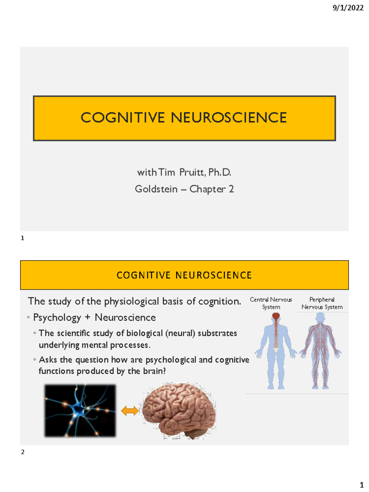 Chapter 2 - Cognitive Neuroscience v4 - COGNITIVE NEUROSCIENCE with Tim Pruitt, Ph. Goldstein ...