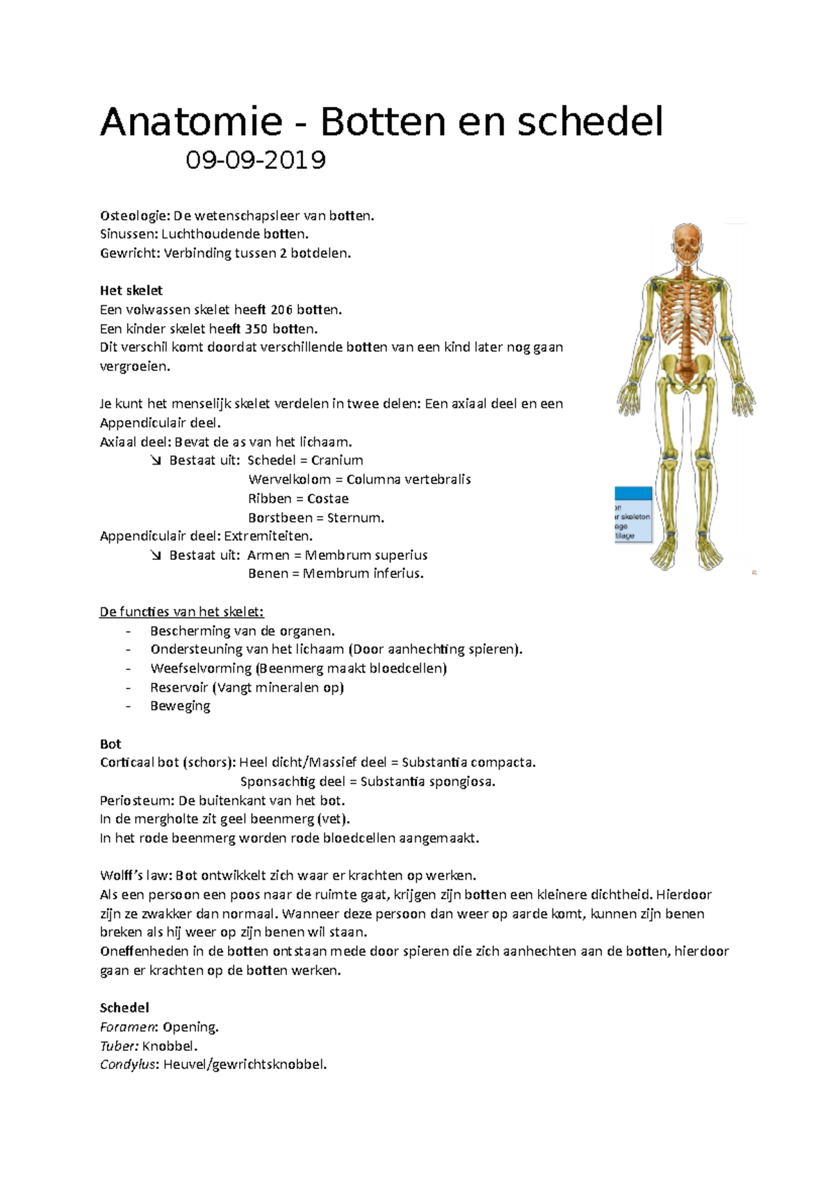 Anatomie - Botten en schedel - Anatomie - Botten en schedel 09-09 ...