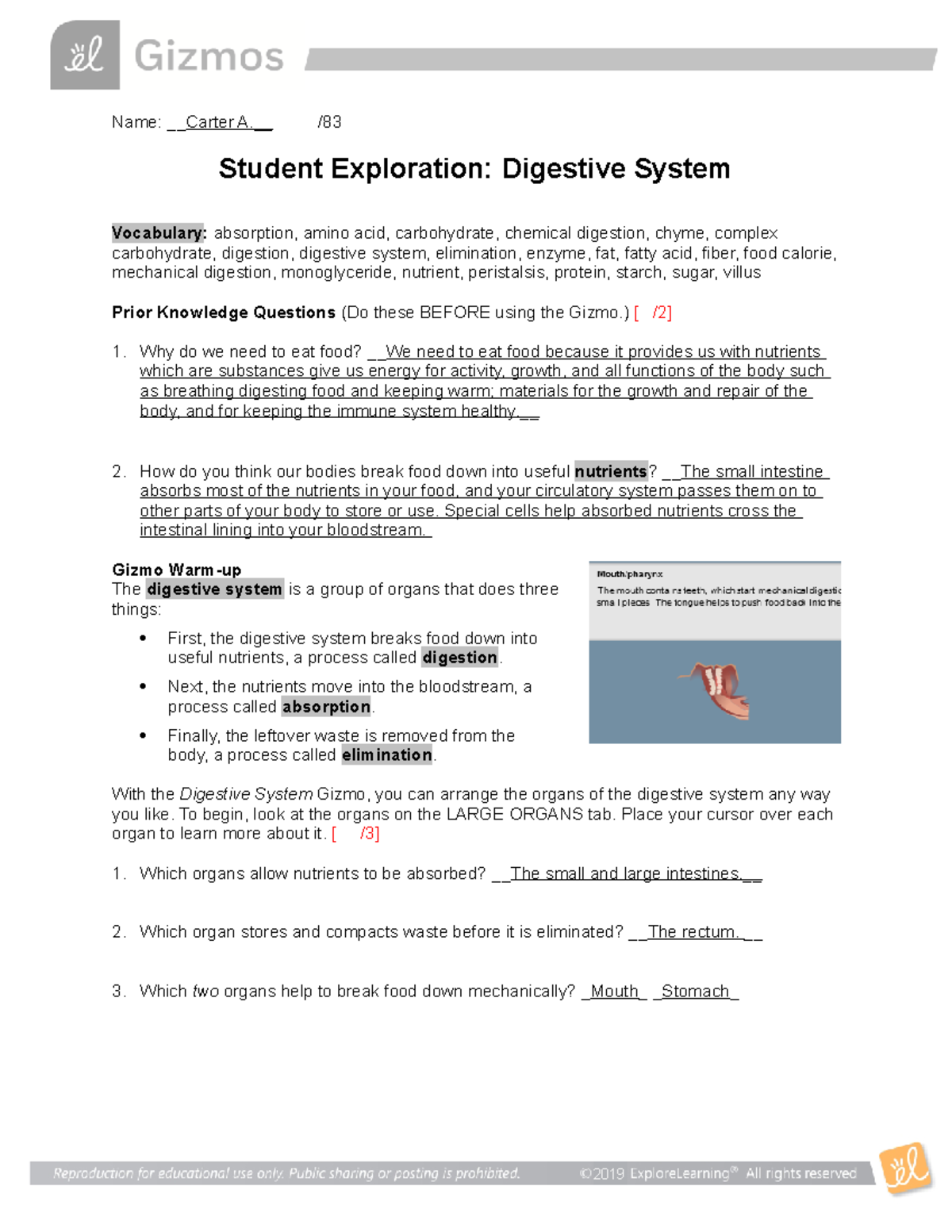 Digestive System Gizmo 2020 finished Version Name Carter A