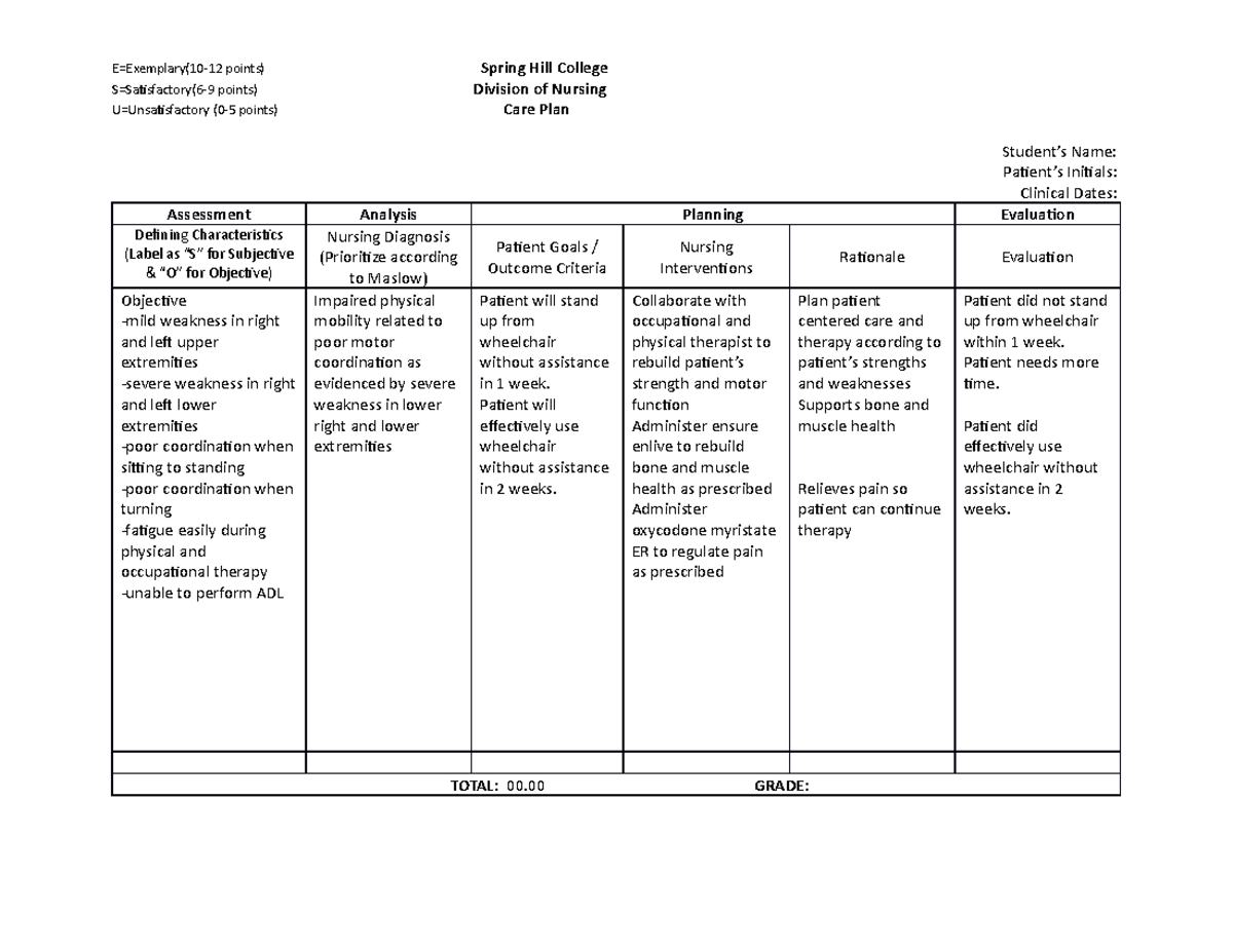 10:27 Care Plan Template Adult Health 1 Clinical - E=Exemplary(10-12 ...