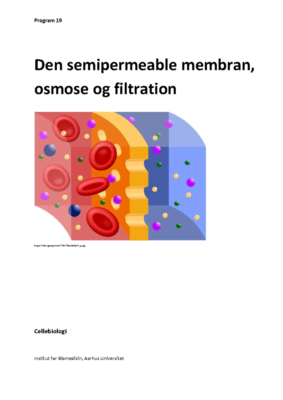 Program 19 Den semipermeable membran osmose og filtration F2021 - Den ...