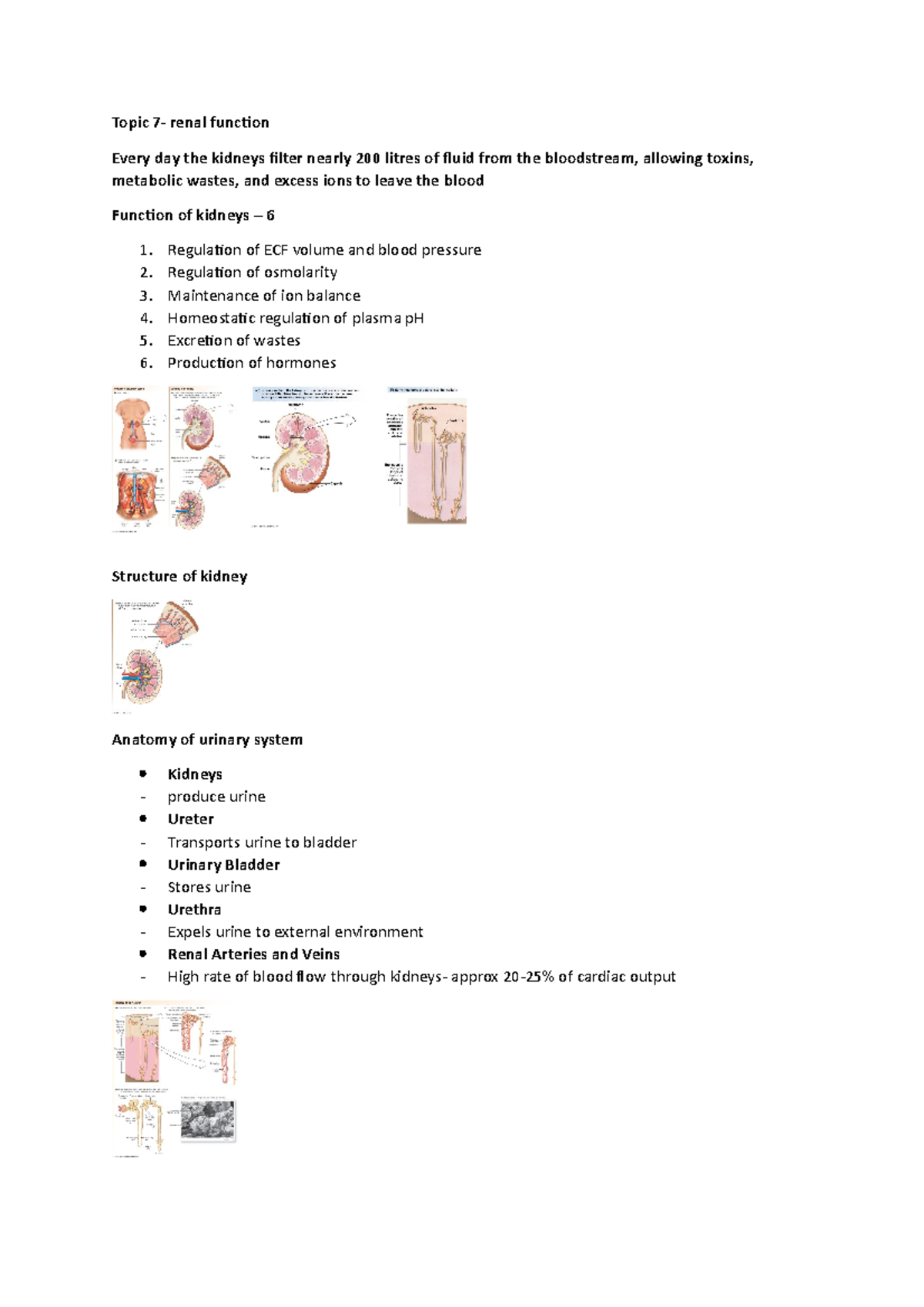 Human physiology 2 notes - Topic 7- renal function Every day the ...