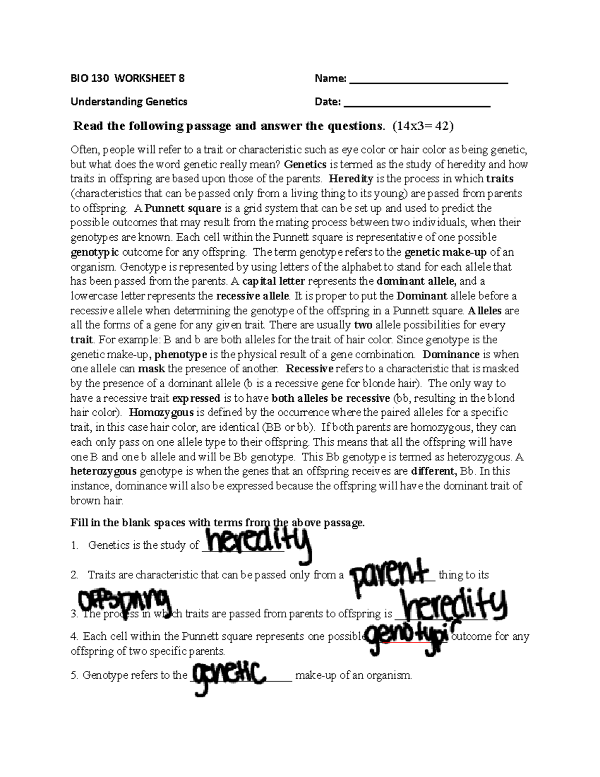 Worksheet 8 - BIO 130 WORKSHEET 8 Name ...