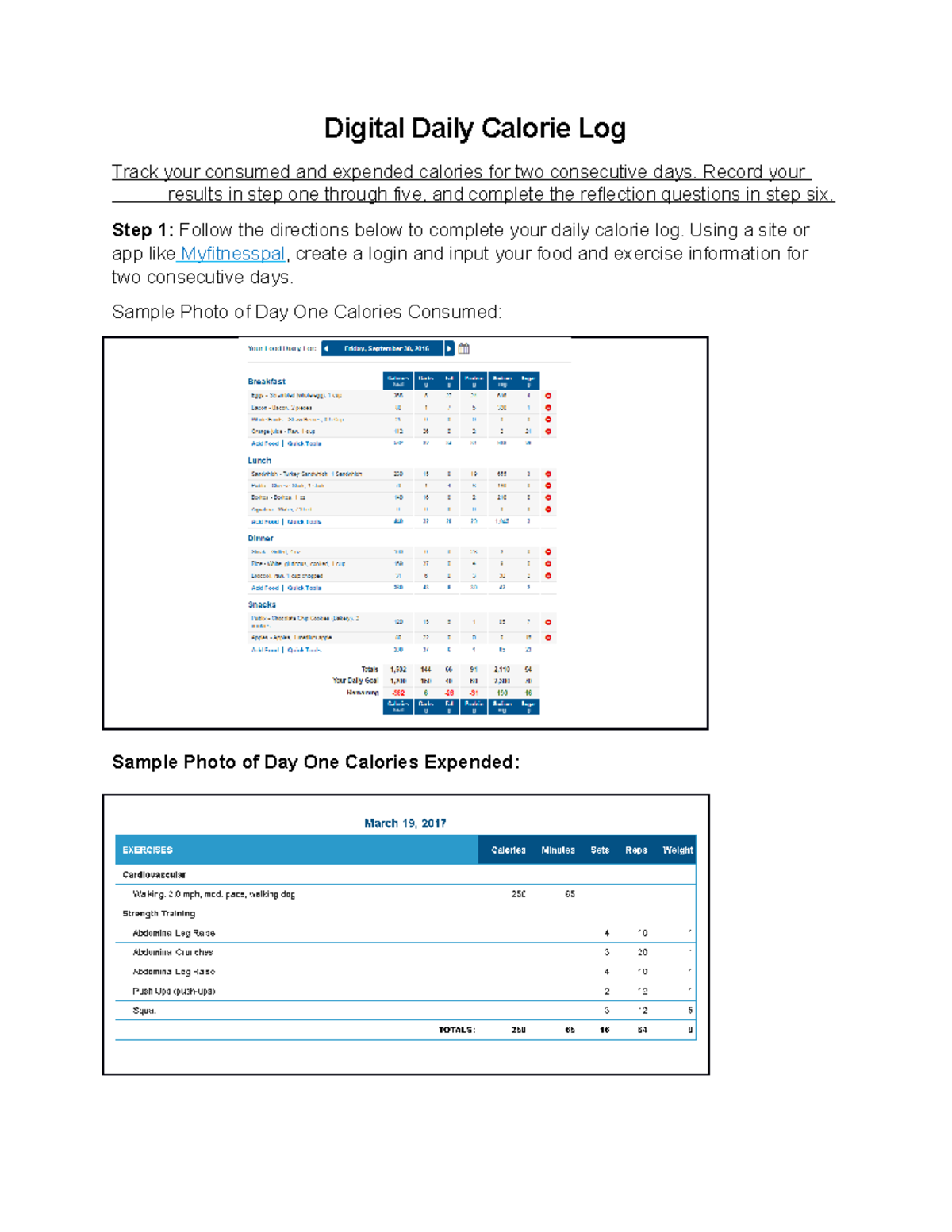 Digital daily calorie log - Digital Daily Calorie Log Track your ...