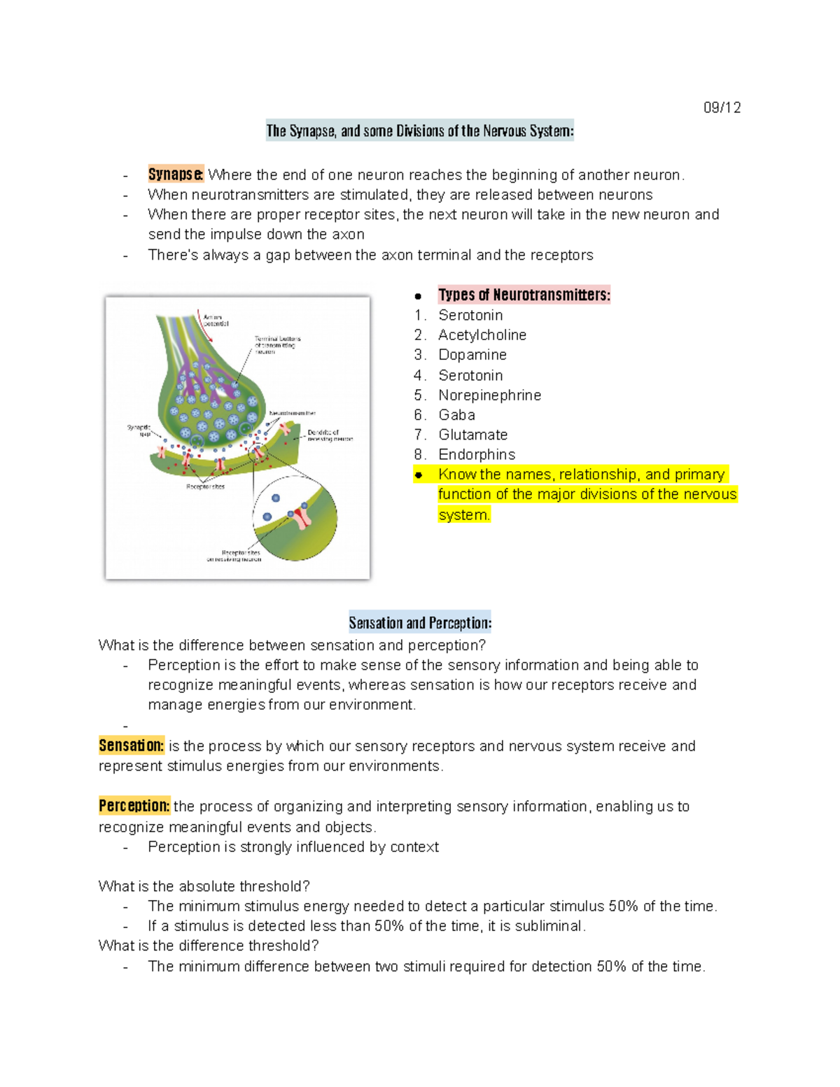 Gen. Psych 09 12 - The Synapse, and some Divisions of the Nervous ...