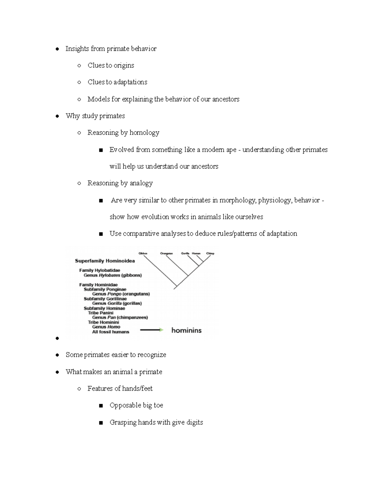 ANT 102 - Midterm II Master Notes - Insights from primate behavior ...