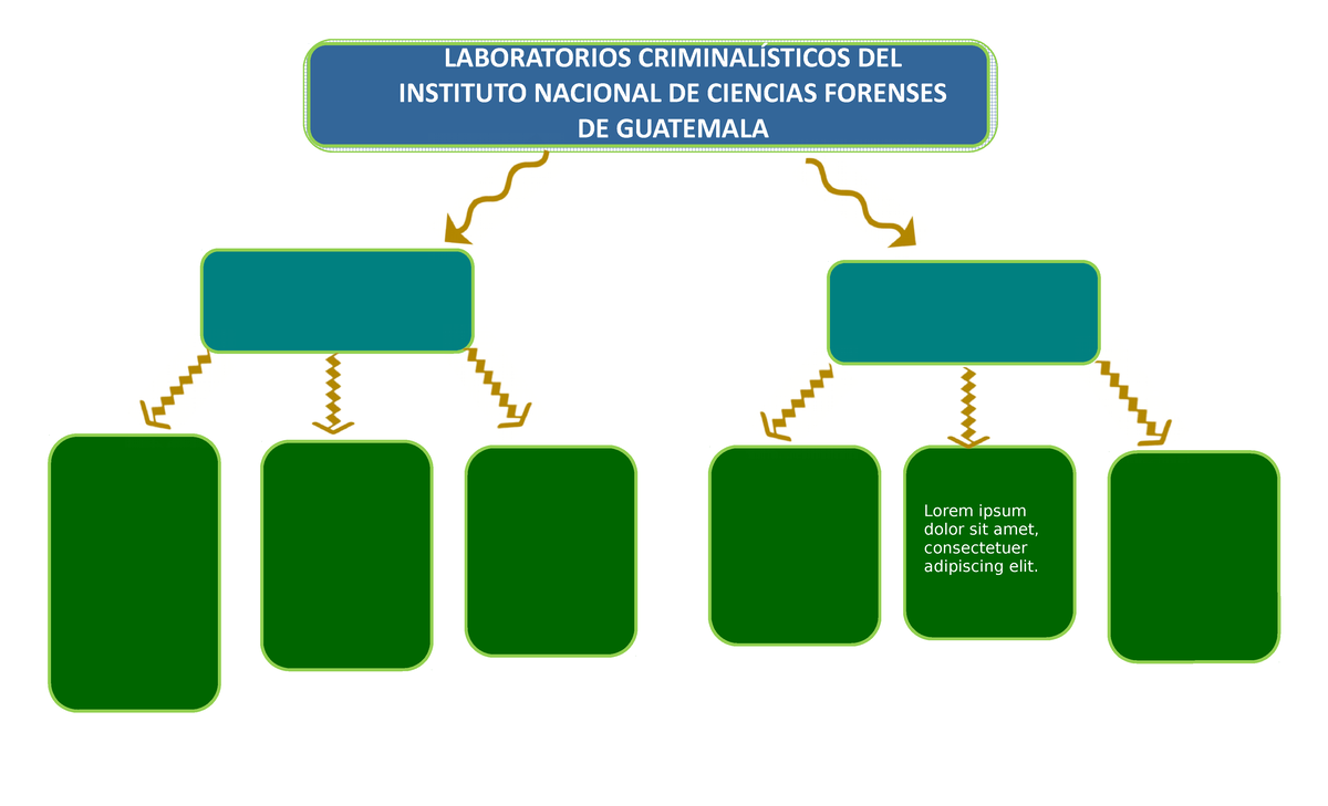 Mapa Conceptual de Laboratorios del Inacif - LABORATORIOS ...
