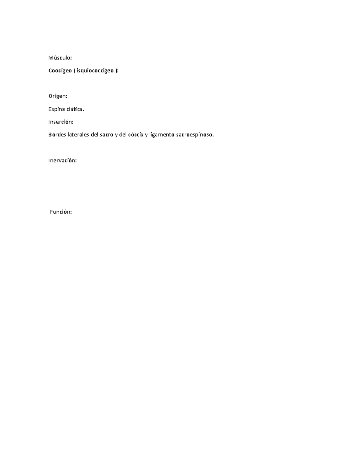 Evelyn Juarez Molina - 1355 - Músculo: Coocigeo ( isquiococcigeo ...