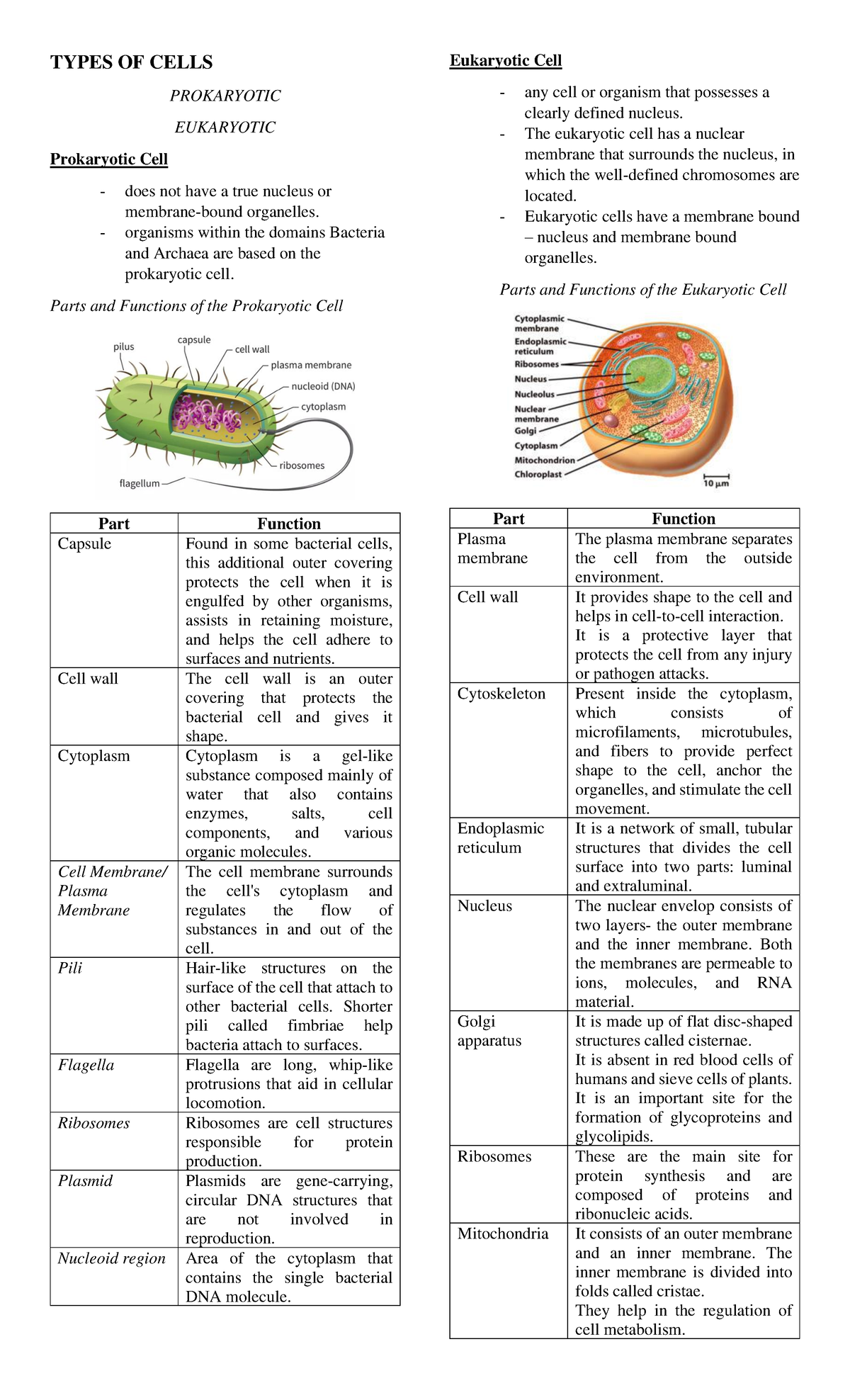 Premidterms notes - TYPES OF CELLS PROKARYOTIC EUKARYOTIC Prokaryotic ...