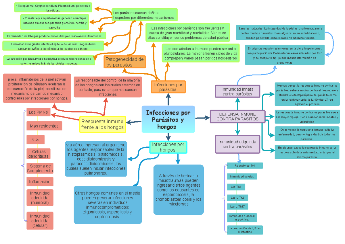 Sesion 8 - infecciones por paracitos y hongos - Infecciones por Parásitos y hongos Respuesta ...
