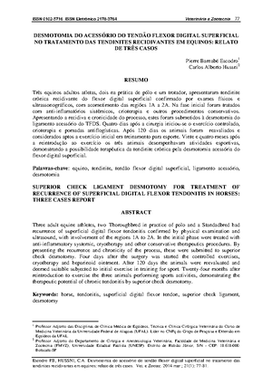 Penectomia - Descrição de técnica cirúrgica - PENECTOMIA EM EQUINO COM ...