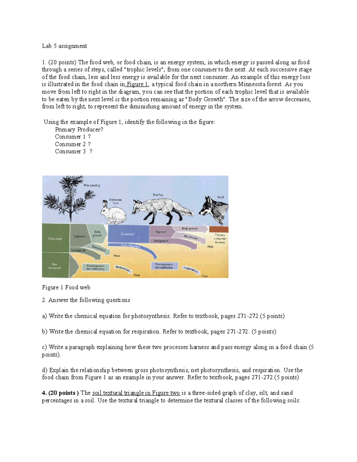 Lab+5+assignment - geog - Lab 5 assignment (20 points) The food web, or ...