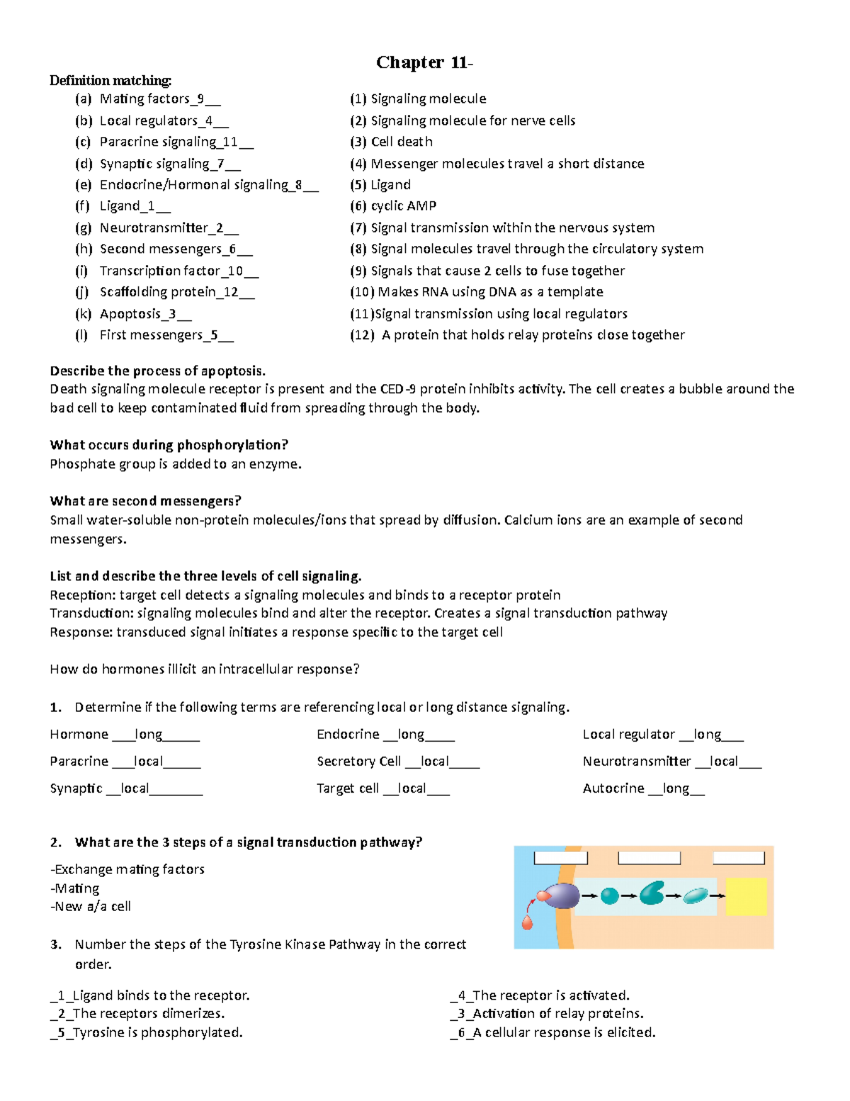BIO 181 Homework WK8 Ch 11. Worksheet for Week 8 Chapter 11 participation - BIO-181 - Studocu