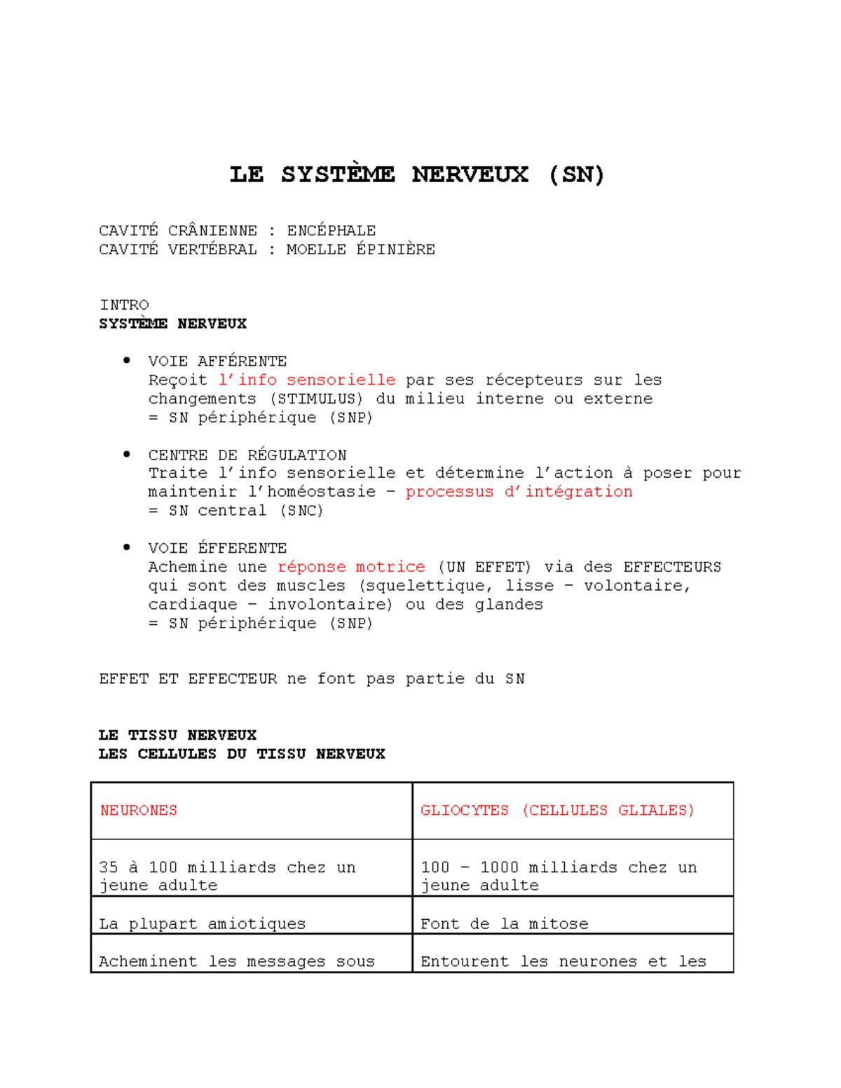 Système Nerveux - nervous system - LE SYSTÈME NERVEUX (SN) CAVITÉ ...