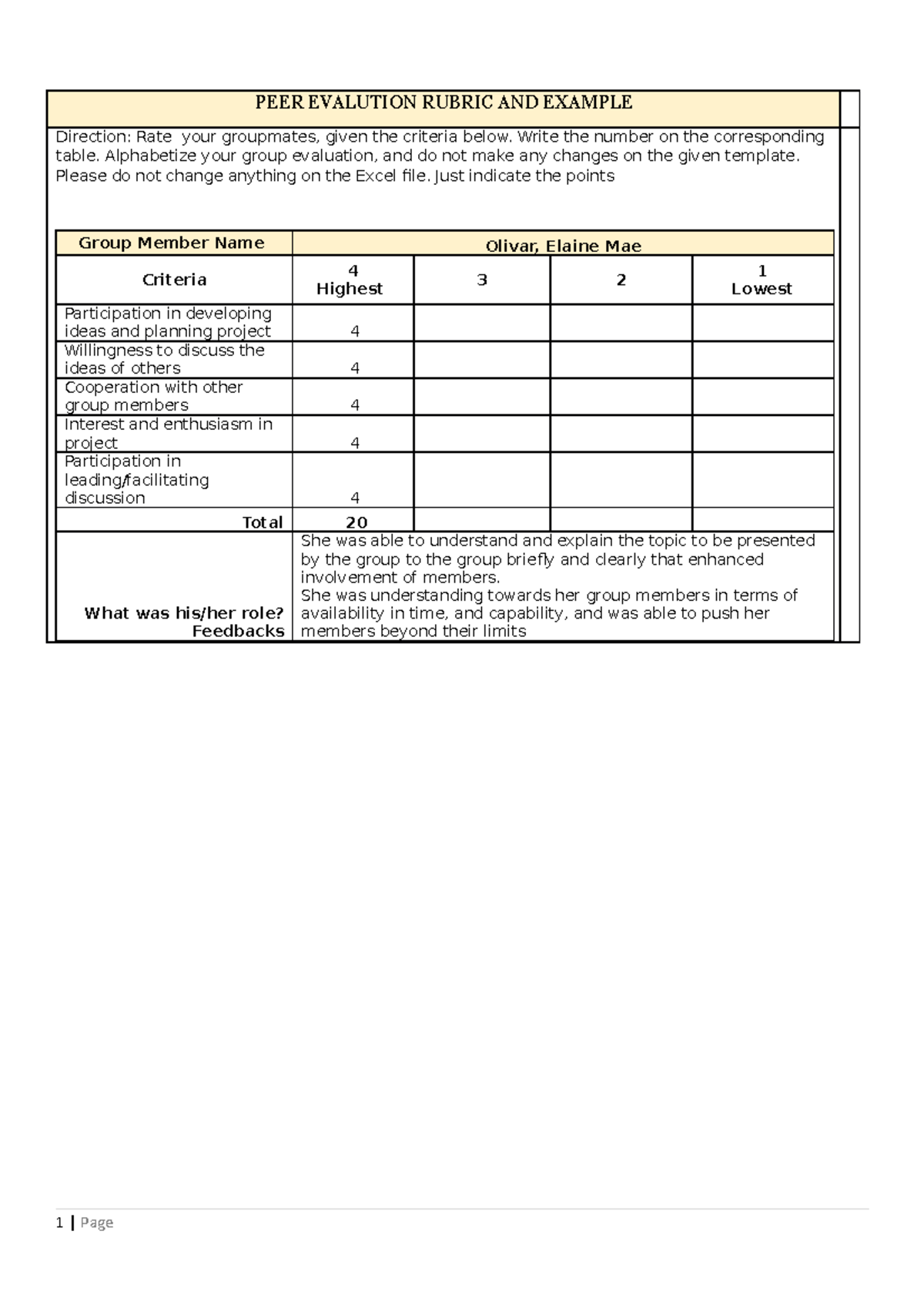 Evaluation - PEER EVALUTION RUBRIC AND EXAMPLE Direction: Rate your ...