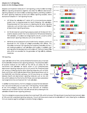 cell signaling class 11 - Cytokines Glycoproteins, mostly secreted by ...