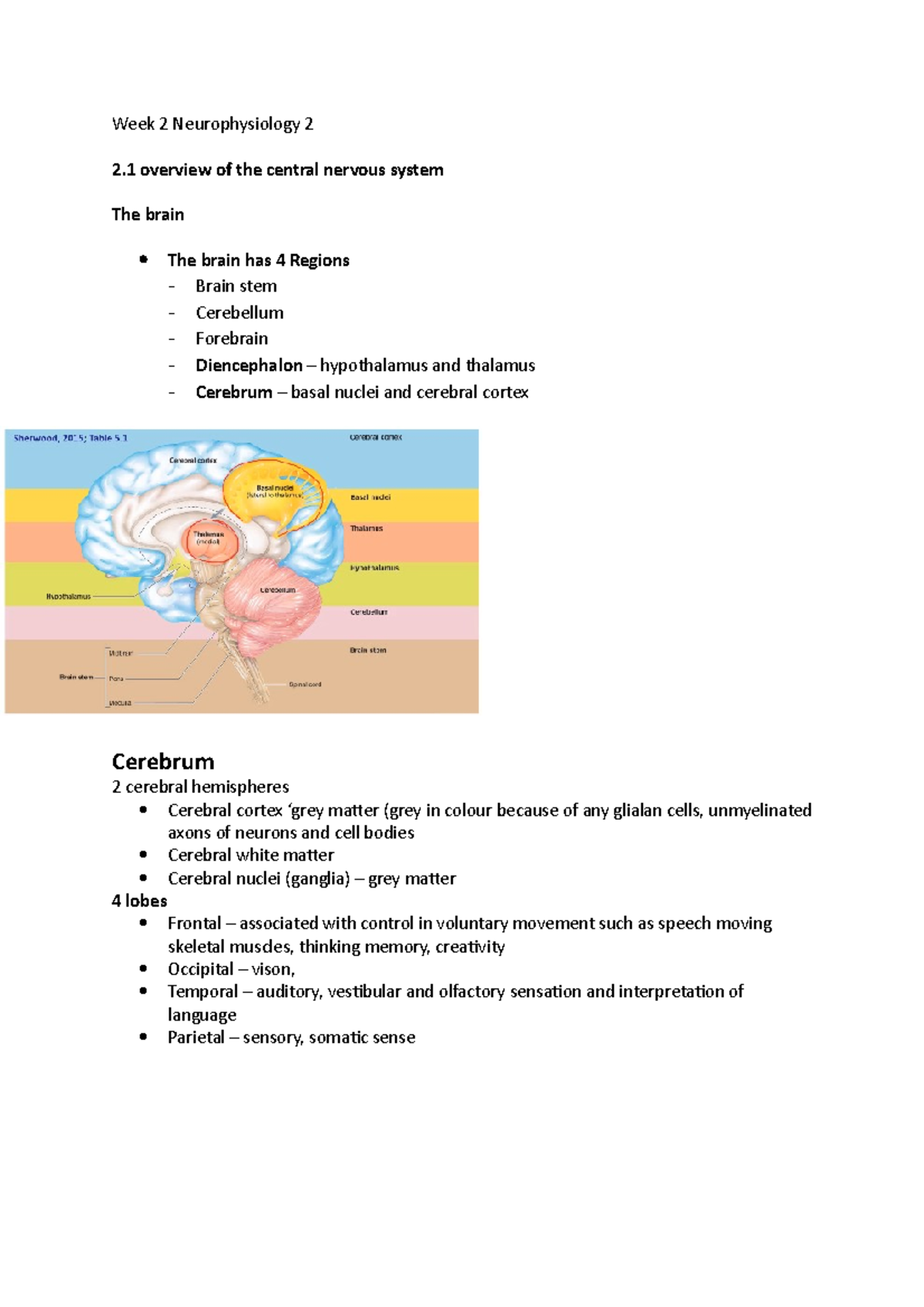 Week 2 Neurophysiology 2 - Week 2 Neurophysiology 2 2 overview of the central nervous system The ...