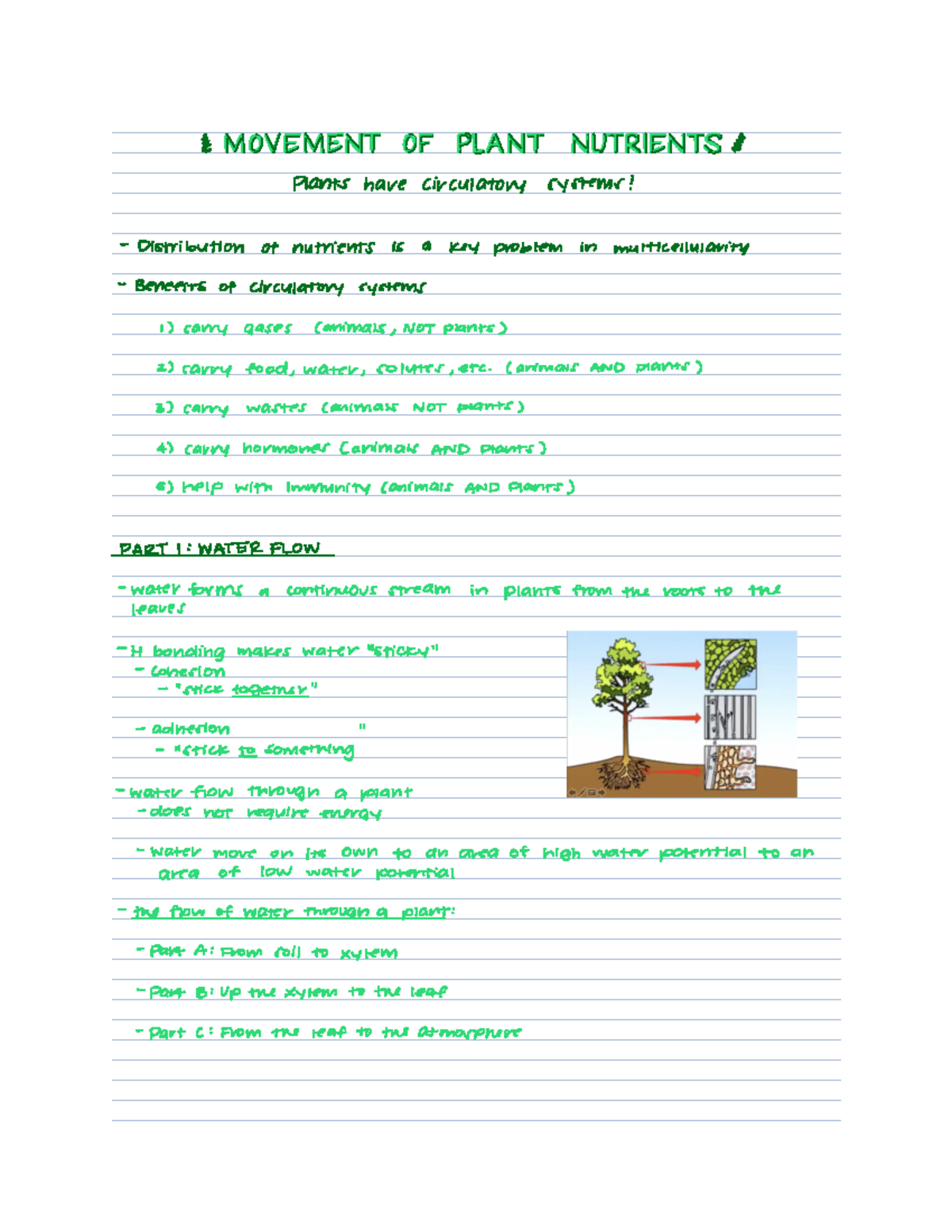 Lecture 8 Movement of Plant Nutrients - BIOL 100 - Studocu