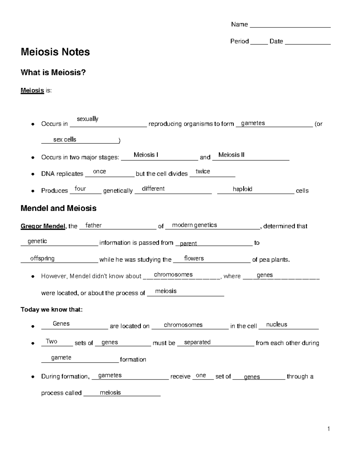 Kami Export - 4 Meiosis Guided Notes - Name ...