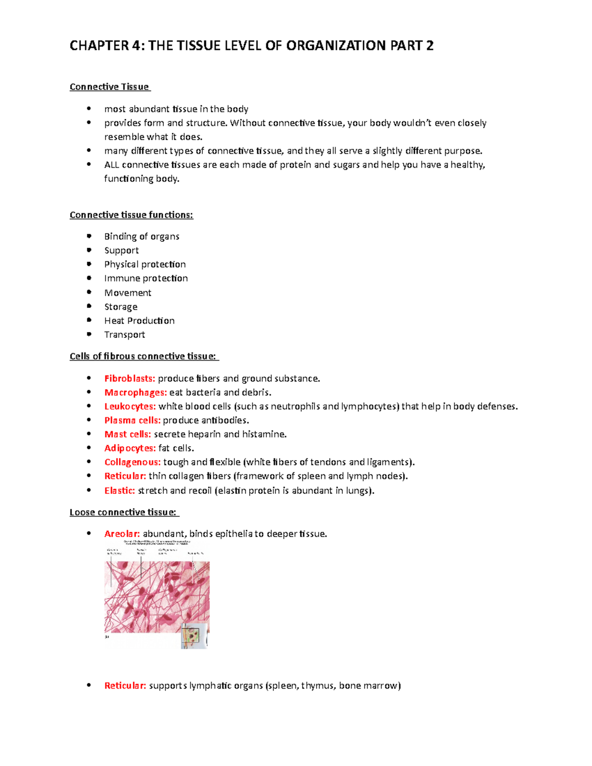 Chapter 4 pt. 2 notes BIO 210 - Connective Tissue most abundant tissue ...