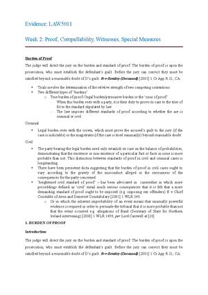 Children and vulnerable witnesses (W3L) - Children and vulnerable ...