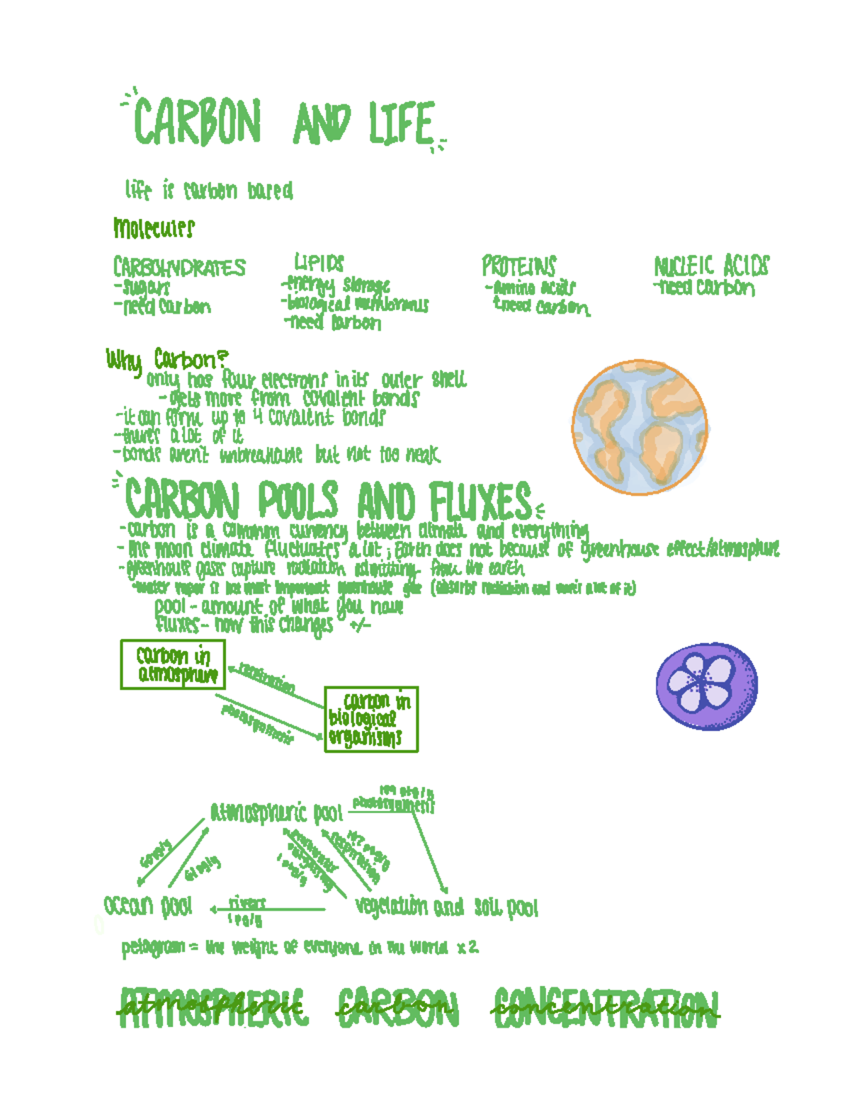 Bio mod 1 - Climate Change module mod notes - CARBON AND LIFE life is ...