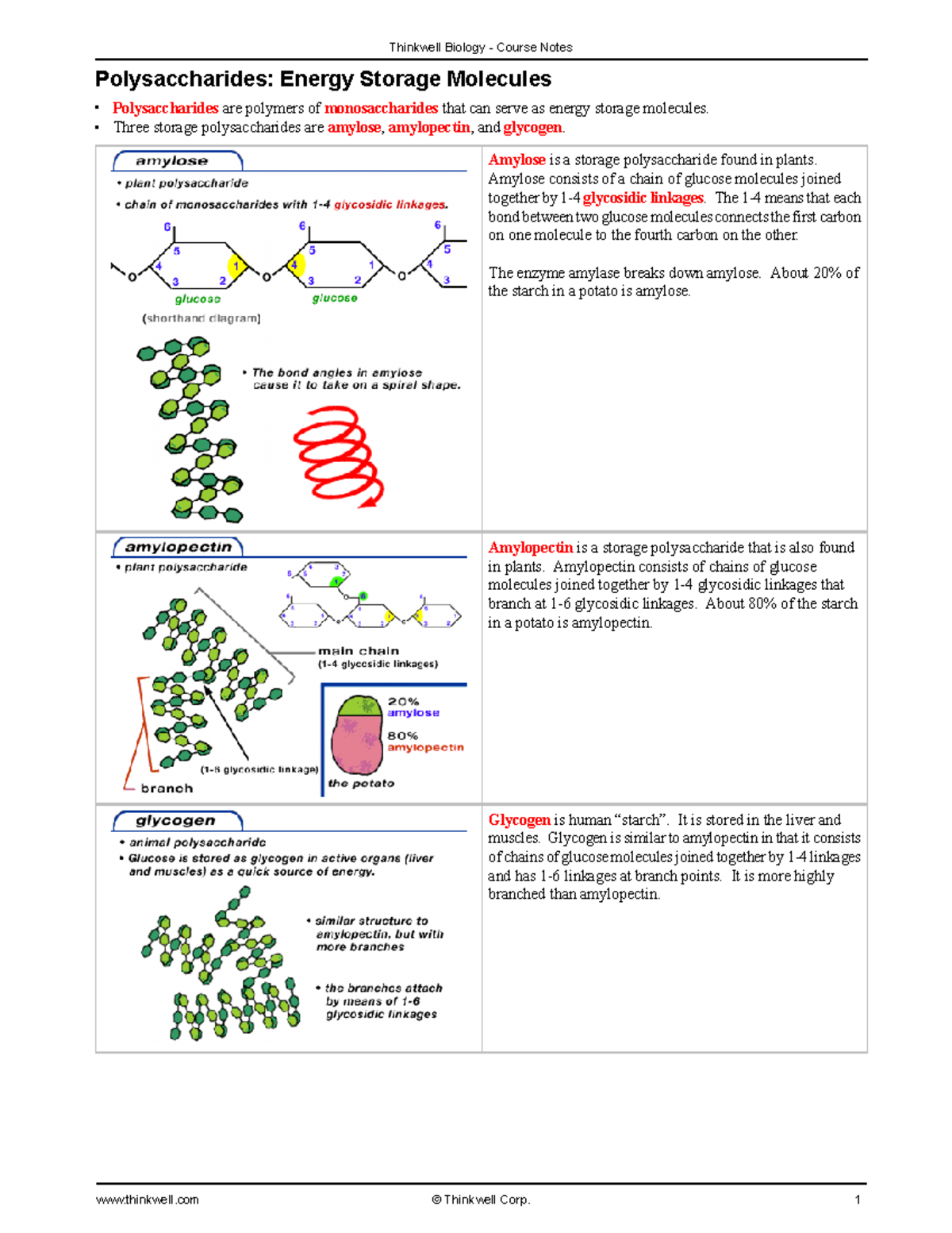 680 - assignment notes - Polysaccharides: Energy Storage Molecules ...