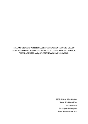 Lab 02 Report - Culturing techniques and simple staining of bacteria ...