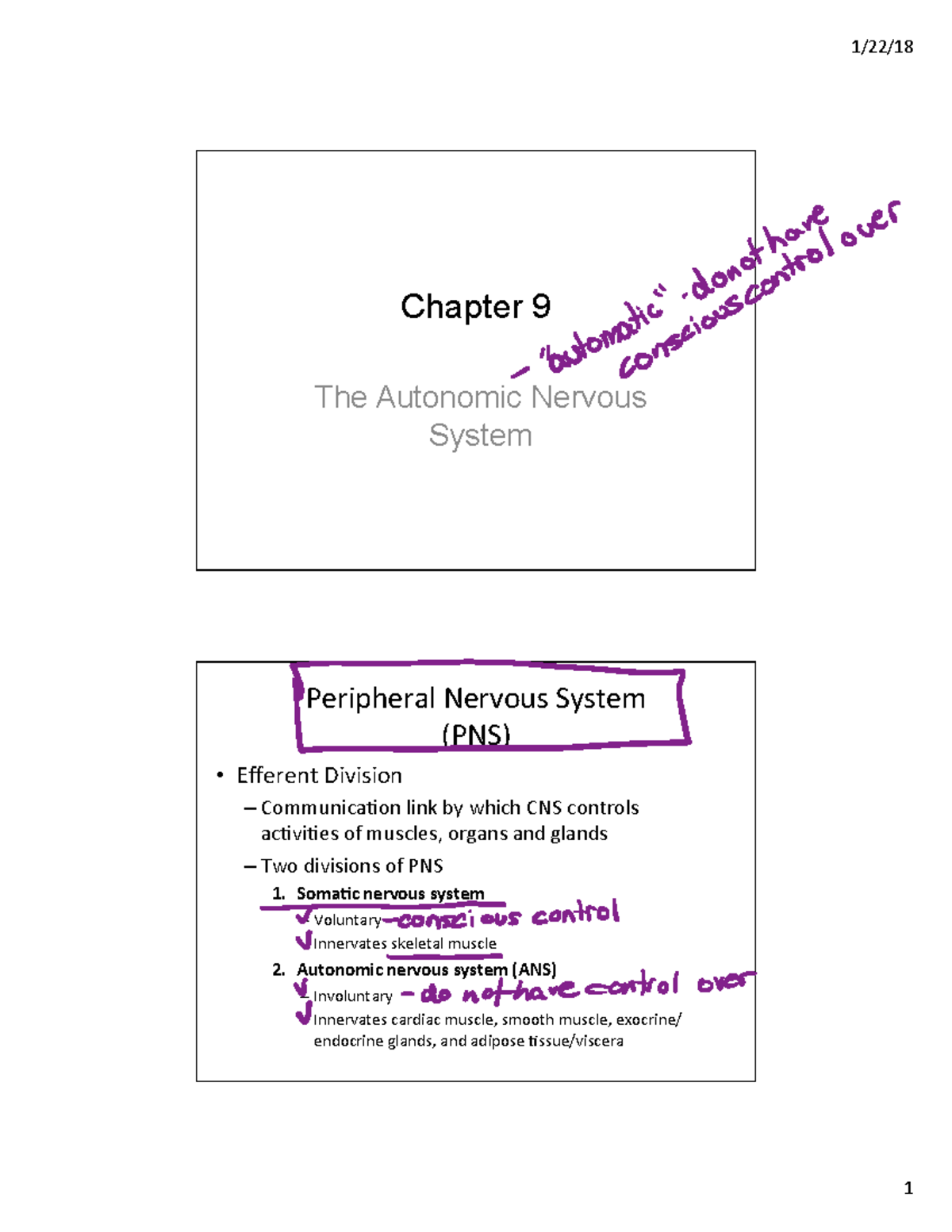 Chapter 9 Lecture - Chapter 9 The Autonomic Nervous System Peripheral%Nervous%System% (PNS ...