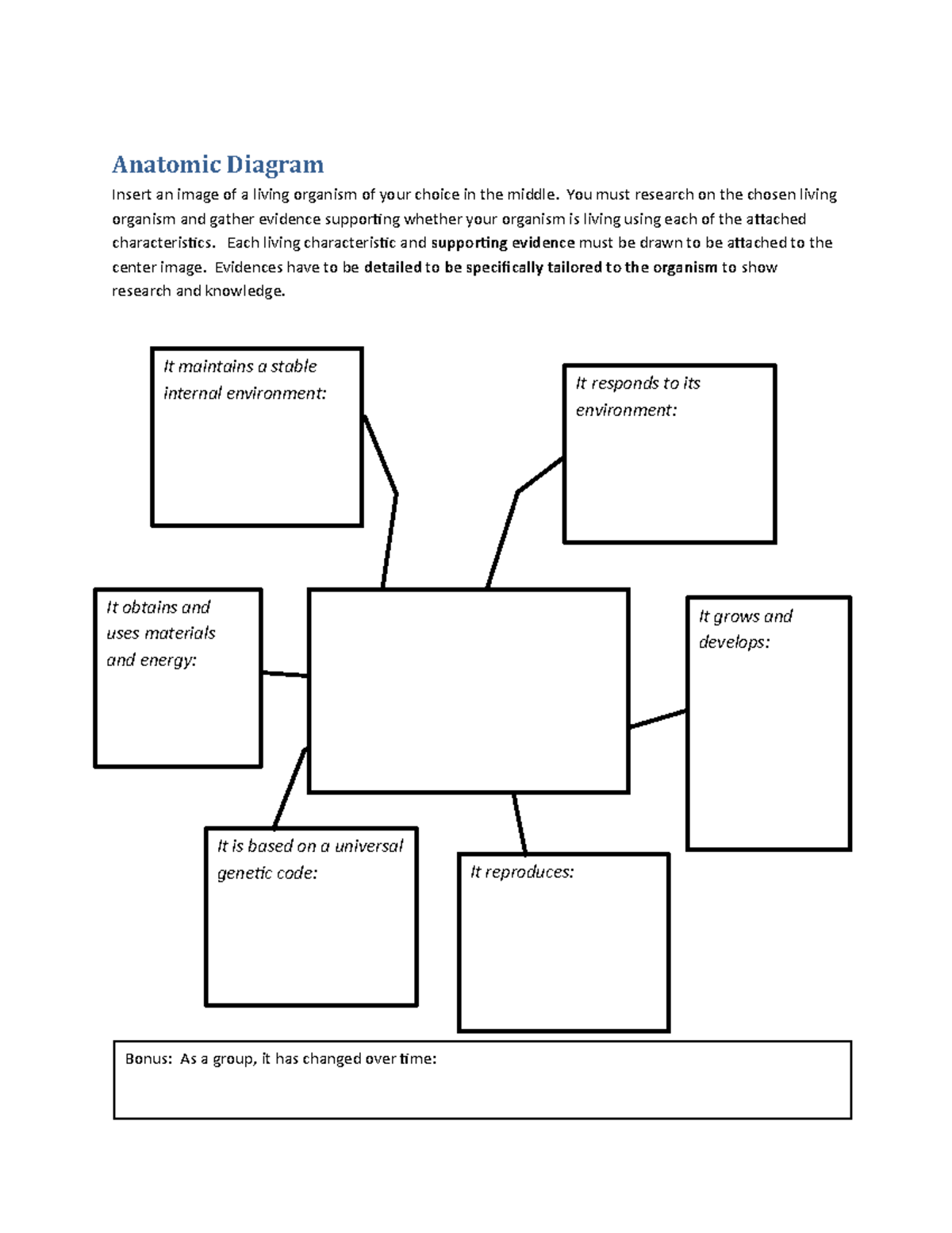 Characteristics Of Life Anatomic Diagram - Anatomic Diagram Insert an ...