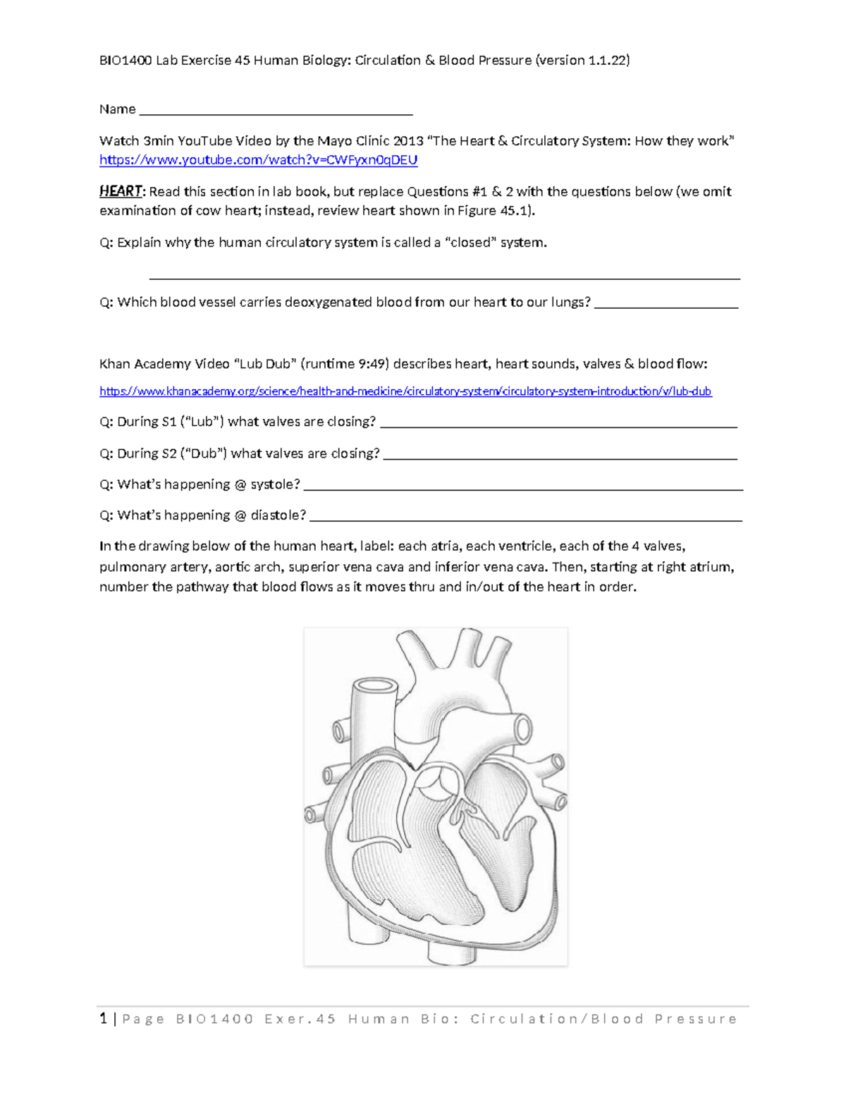 Bio 1400 Lab 1 Worksheet In Person Instruction - Name Watch 3min ...