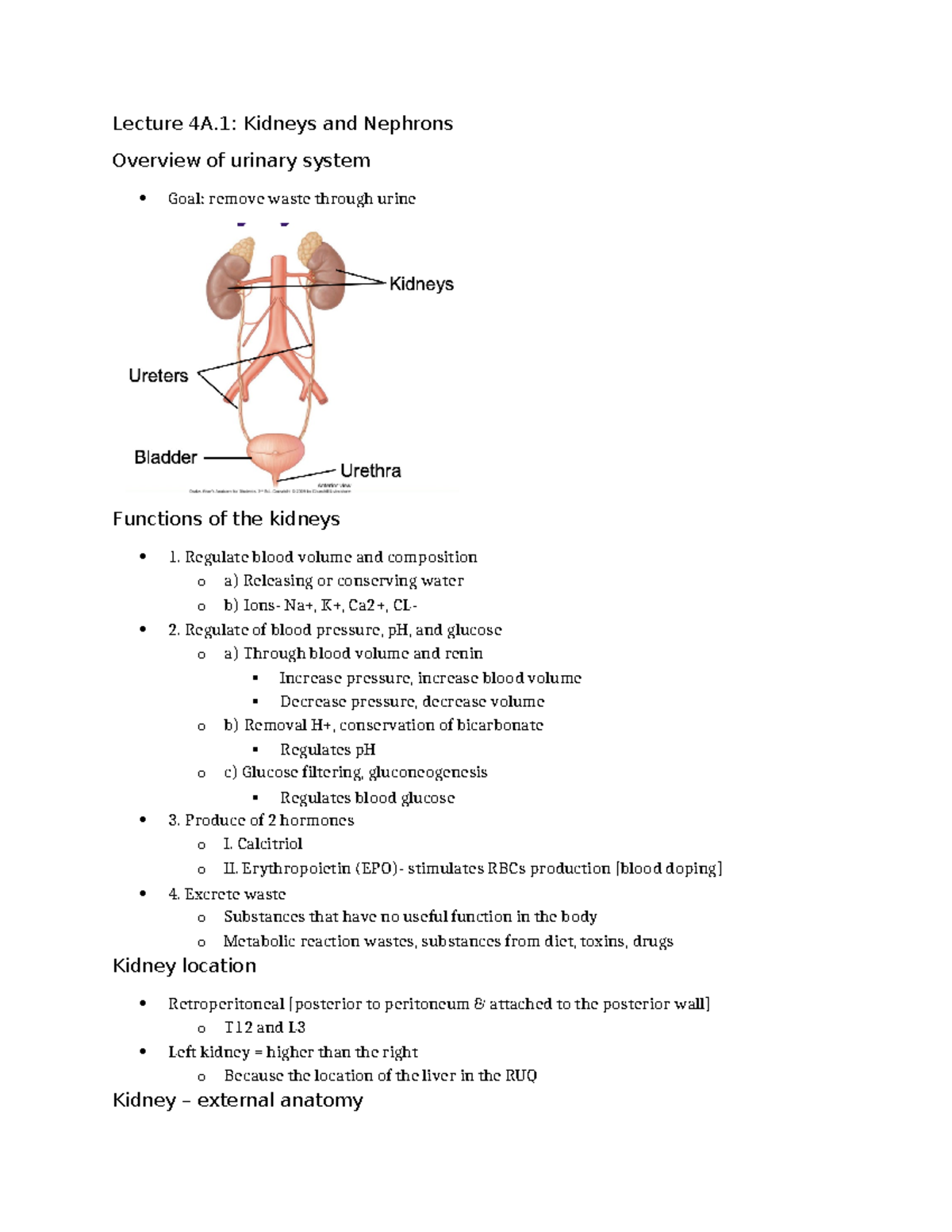 Unit Four - Urinary System - Lecture 4A: Kidneys and Nephrons Overview ...