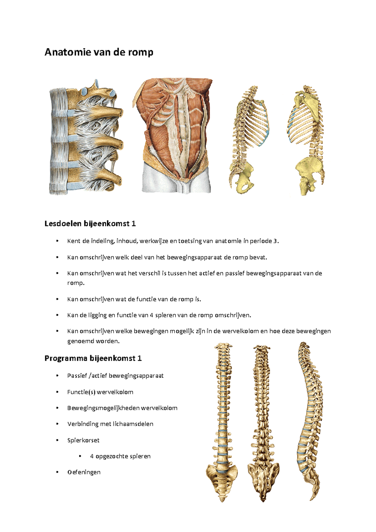 Samenvatting Mensbiologie B: periode 3 - Anatomie van de romp Lesdoelen ...