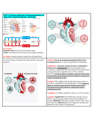 Exam 2 Med Surg Arrythmias - Med Surg Exam 2 Blueprint: Cardiac Arrhythmias EKG Strips PART 1 ...