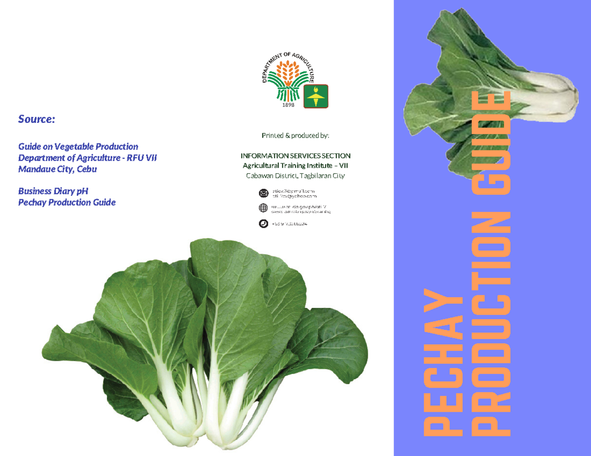 Pechay final 2 - Civil Engineering - PECHAYPRODUCTION GUIDE Printed ...