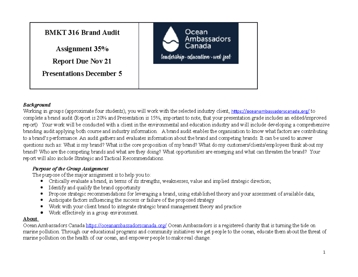 BMKT 316 Brandi Audit Assignment Fall 2022 Final - BMKT 316 Brand Audit ...