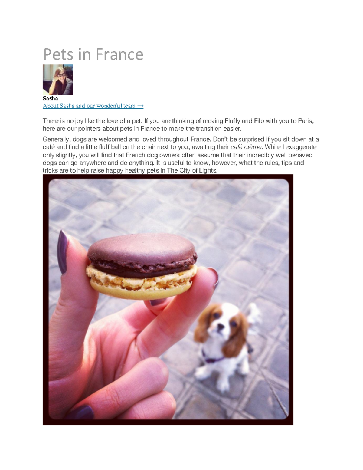 Kami Export - Madeline Williams - Pets in France - Pets in France Sasha ...