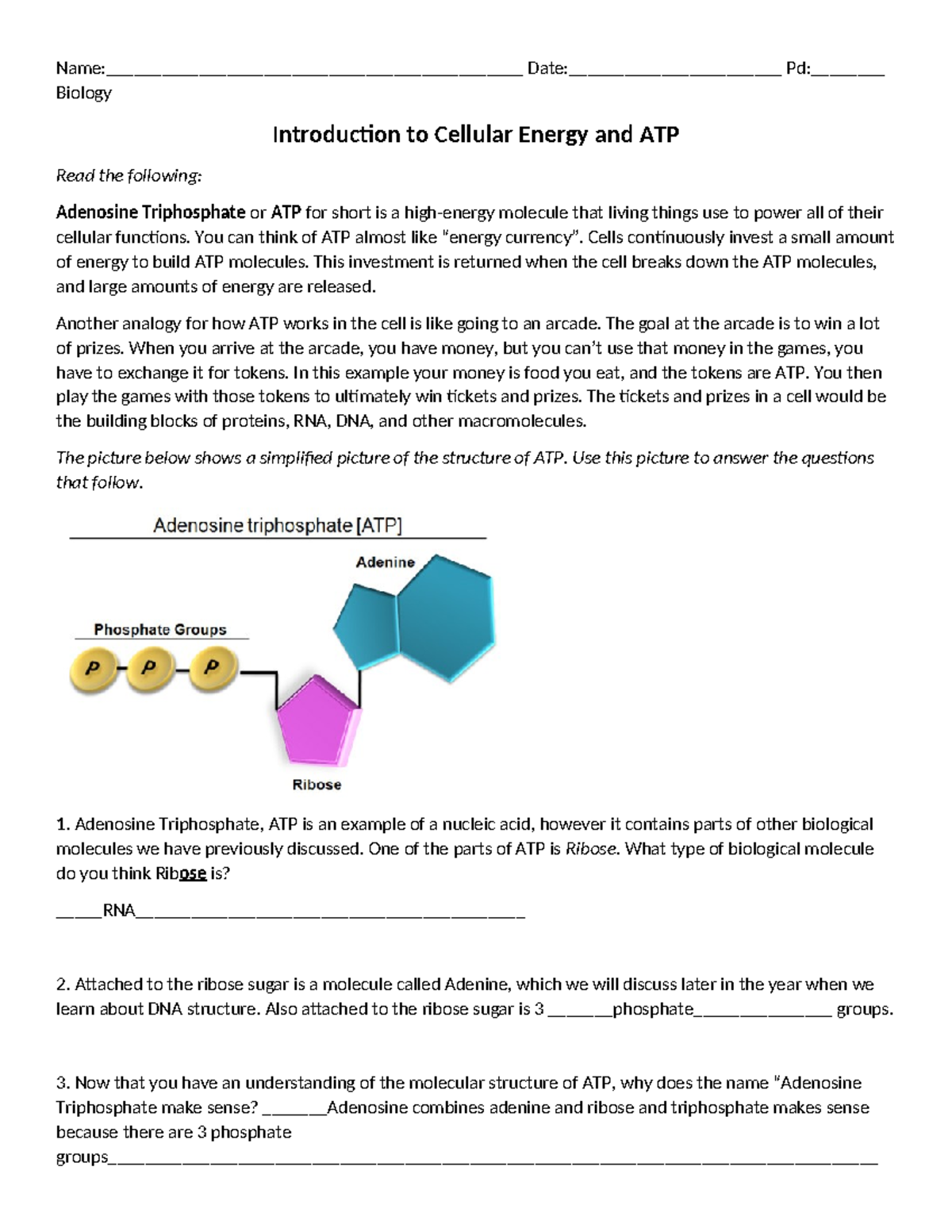 ATP Pogil Activity - This has all the answers to this assignment ...