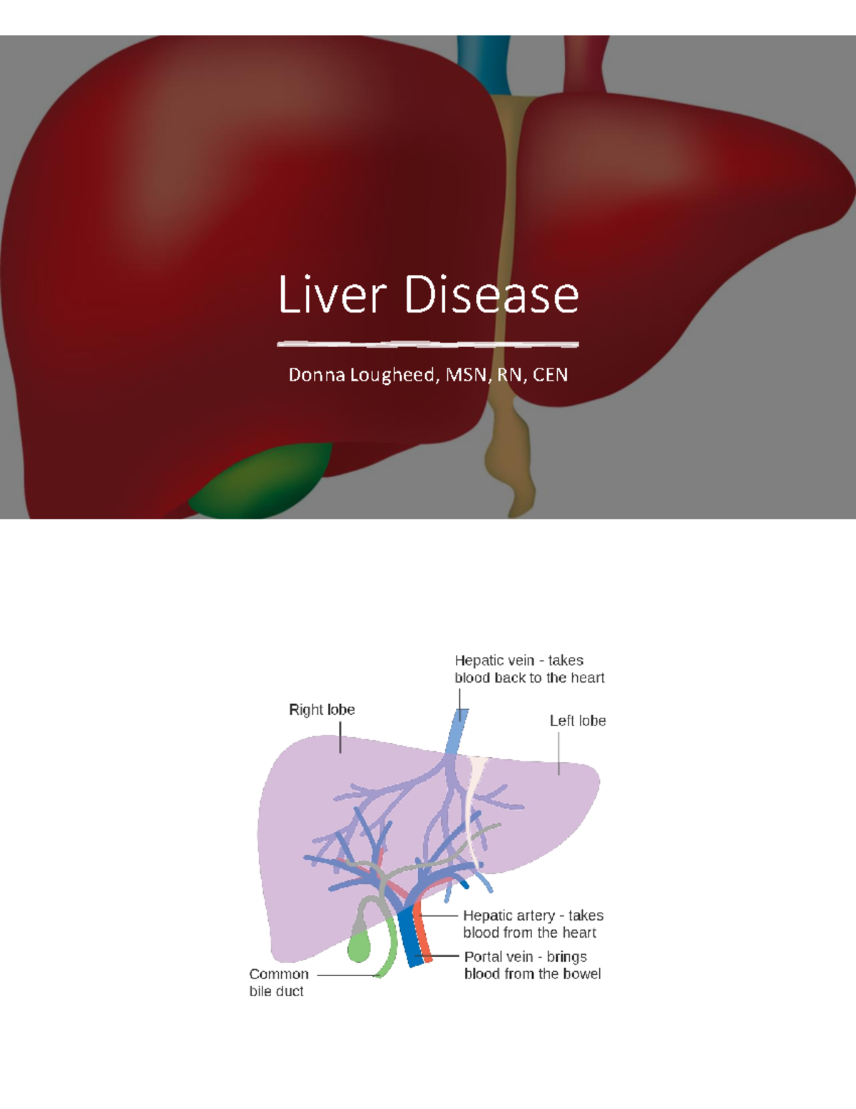 Liver Disease - Liver Disease Donna Lougheed, MSN, RN, CEN Impaired ...